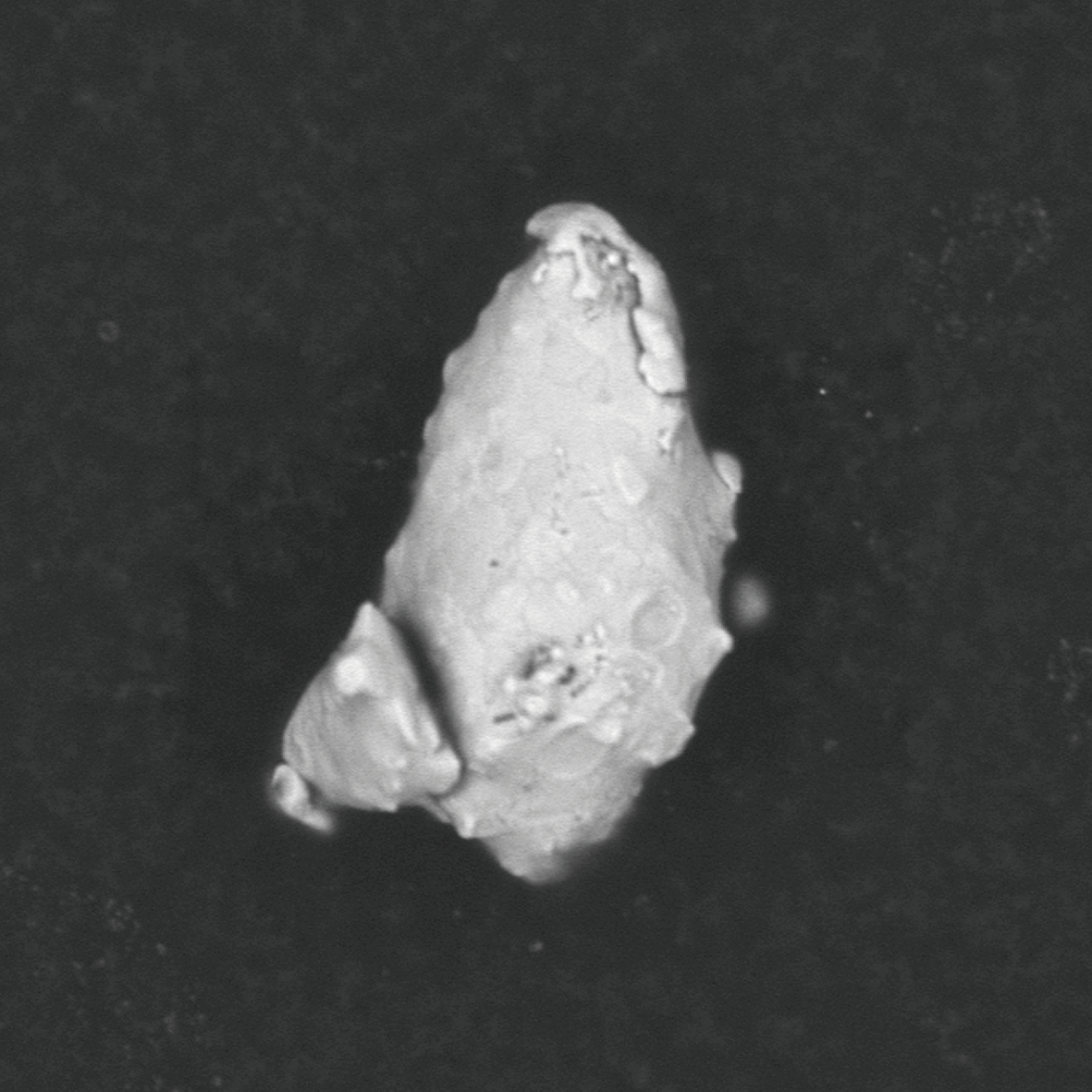 Phenom ParticleX Battery | ジャスコインタナショナル