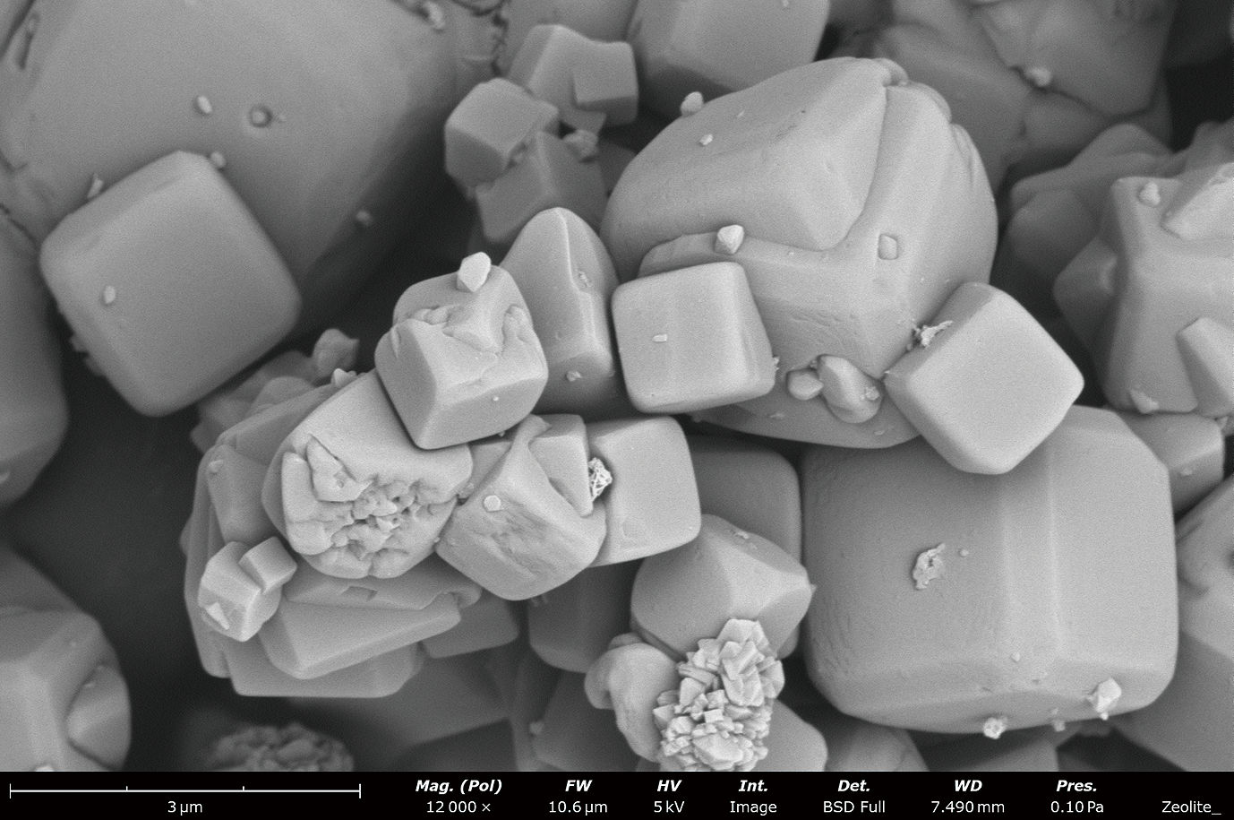 Phenom Pharos – 卓上走査型電子顕微鏡（卓上SEM） | ジャスコインタナショナル